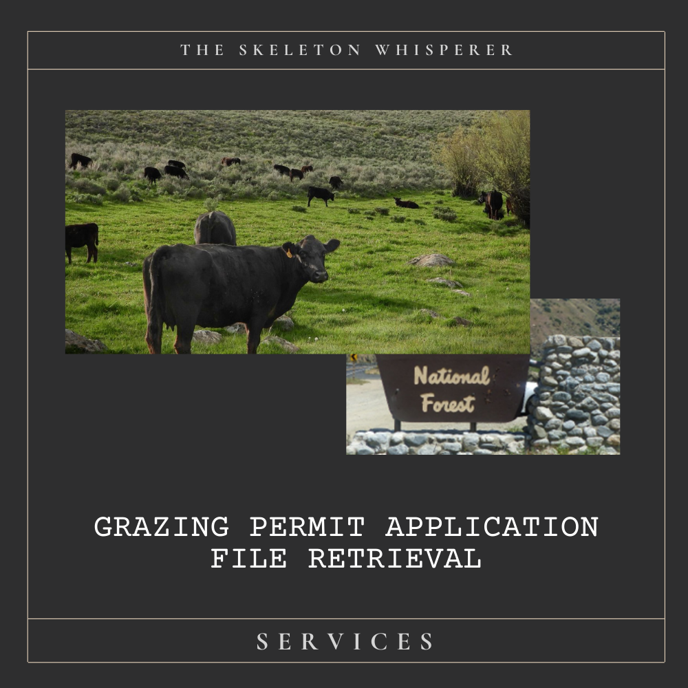 Grazing Permit Application – The Skeleton Whisperer