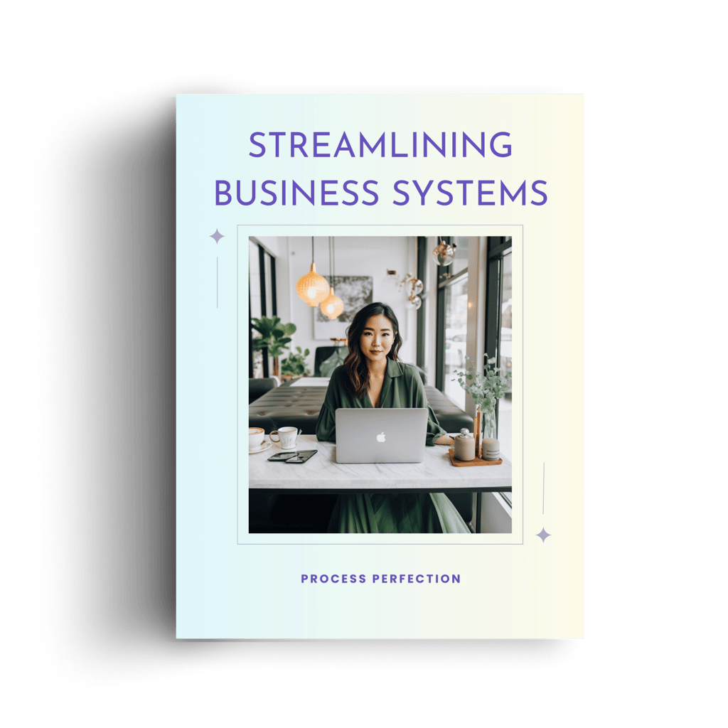 Streamlining Business Systems: Process Perfection (PLR Product)