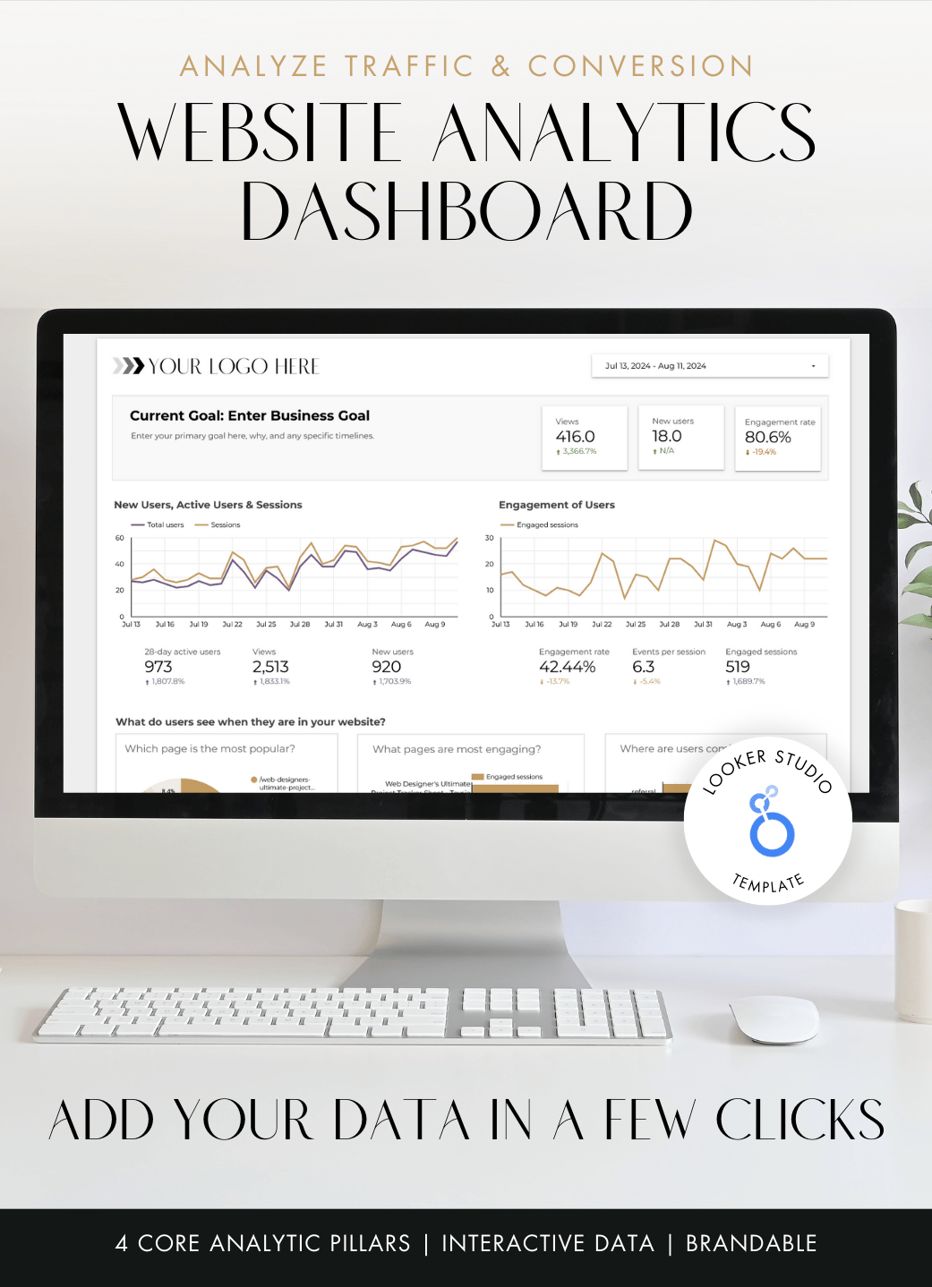 Website Analytics Dashboard – Digiality Co.