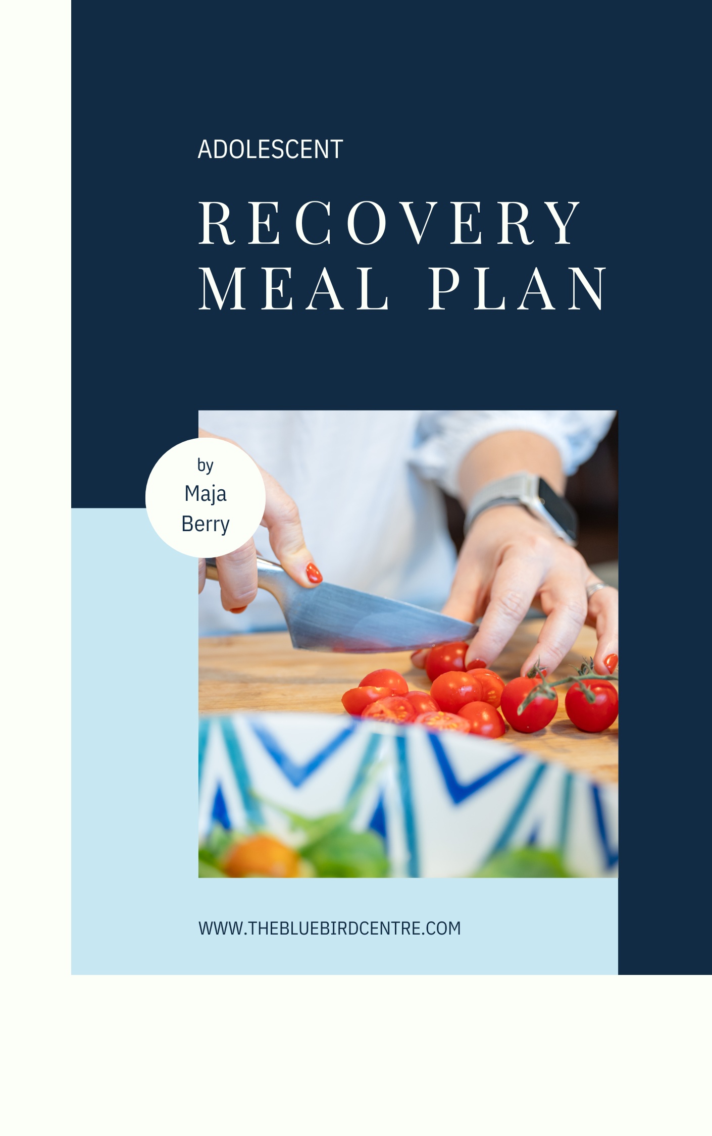 Adolescent Eating Disorder Recovery Meal Plan – The Bluebird Centre