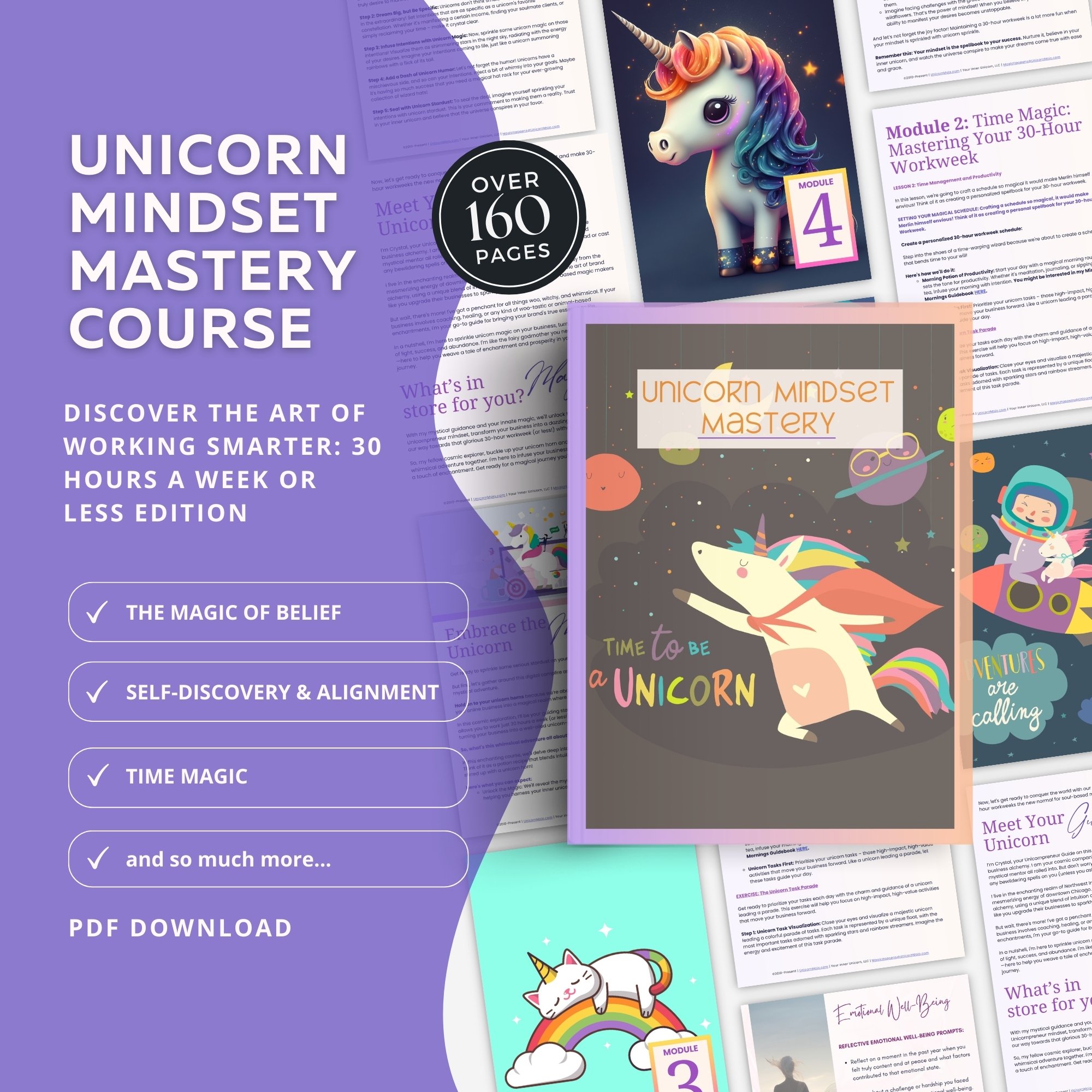 Unicorn Mindset Mastery Course