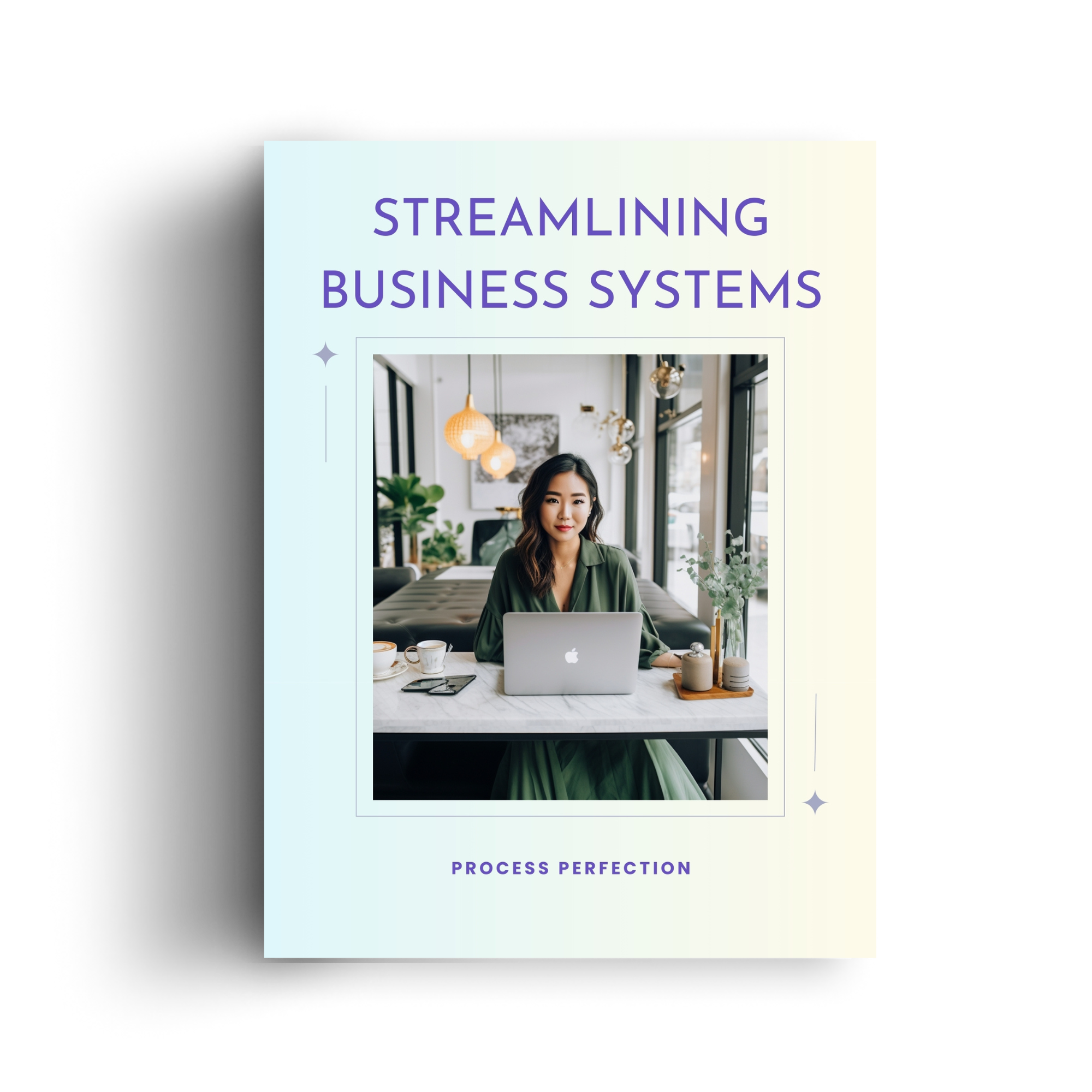 Streamlining Business Systems: Process Perfection (PLR Product)