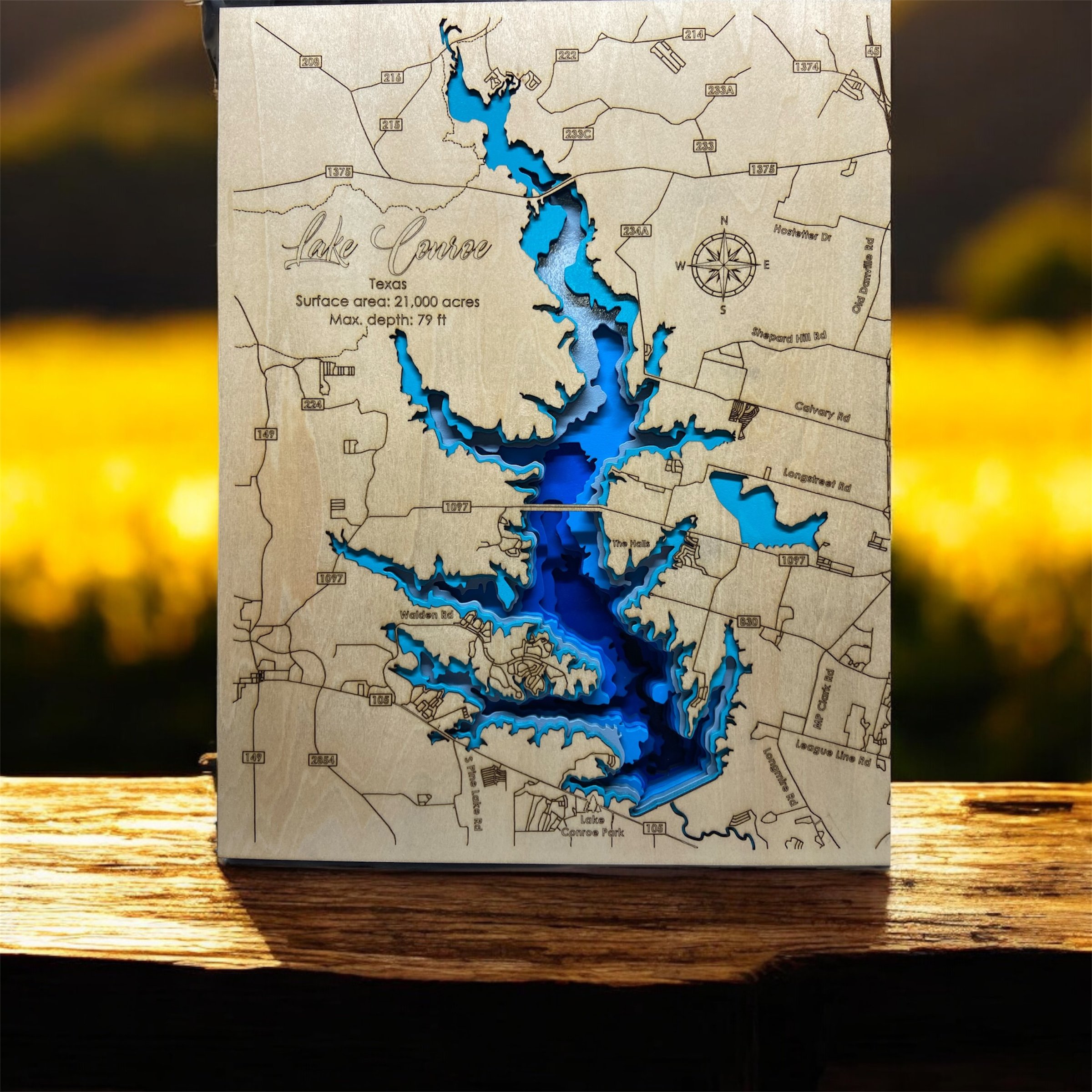 Lake Conroe Bathymetric Lake Map – LazerWorks