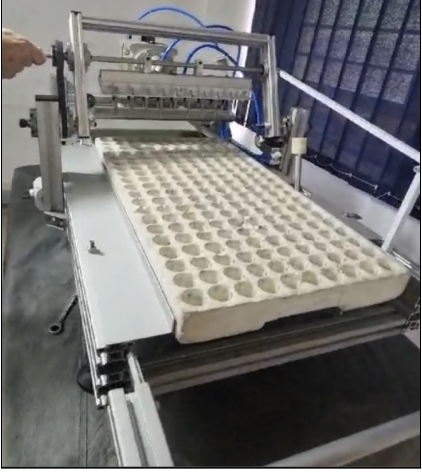 Precision Seeds – Seedling Tray Machine – Iot Connected