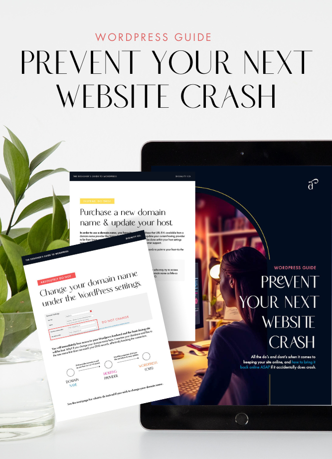 WordPress Guide: Don't Crash Your Website – Digiality Co.