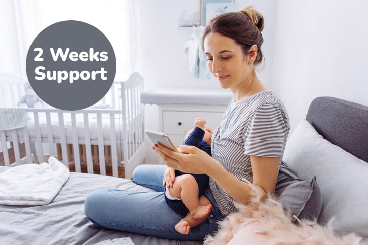 2 Weeks Virtual Support Package Gentle Sleep Nanny
