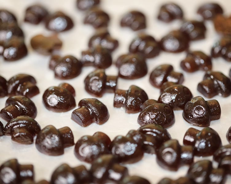 Focus & Clarity Gummies | Boost Mental Performance – Charlie's Kitchen