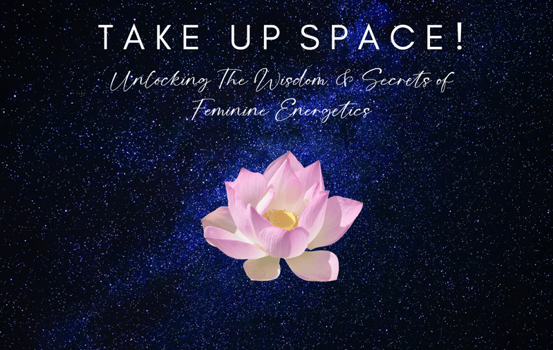 Take Up Space! Lifetime Access – Alignment Journeys