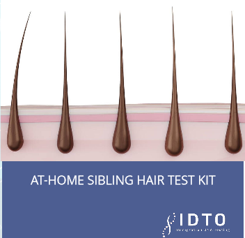 At-Home Sibling Hair DNA Test Kit – IDTO DNA Paternity Testing Services