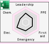 Safety Maturity Assessment Template – Continuous Improvement Toolkit