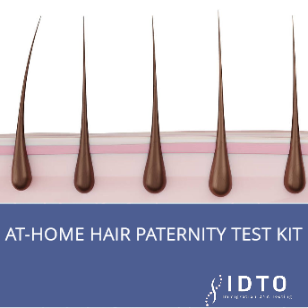At-Home Paternity Test Kit w/ Hair Follicles – IDTO DNA Paternity ...